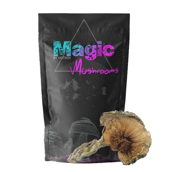 Blue Meanie Magic Mushrooms - Magic Box | Buy Cannabis Vapes, THC & CBD ...
